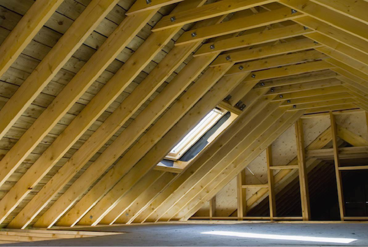Attic Bugs, Insects, Pest: Prevention Tips for Attic Bugs