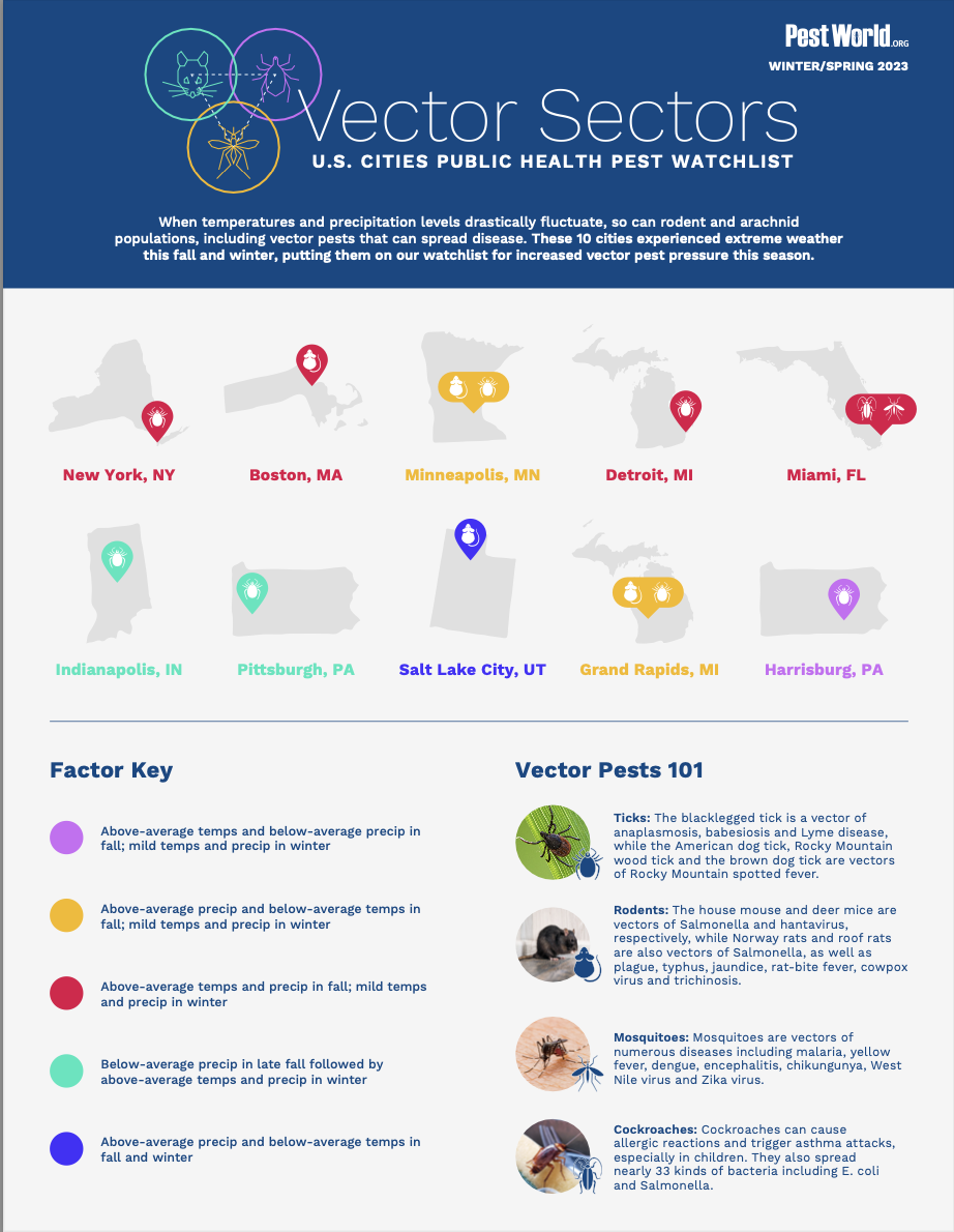 2023 Winter/Spring Vector Sectors