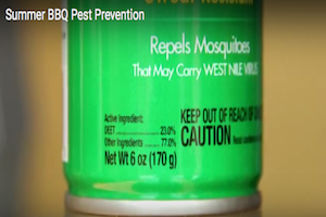 Stinging Insect Pest Guide: Types of Stinging Insects