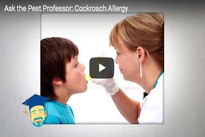 Cockroaches Profile: Info, Photos, & Extermination