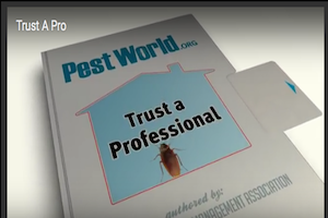 How to Get Rid of Mayflies: Mayfly Control & Prevention