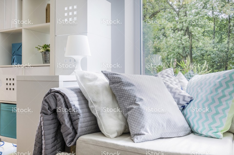 Bugs & Insects in the Living Room: Living Room Bugs