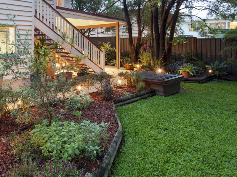 Backyard Bug & Insect Control & Identification Info