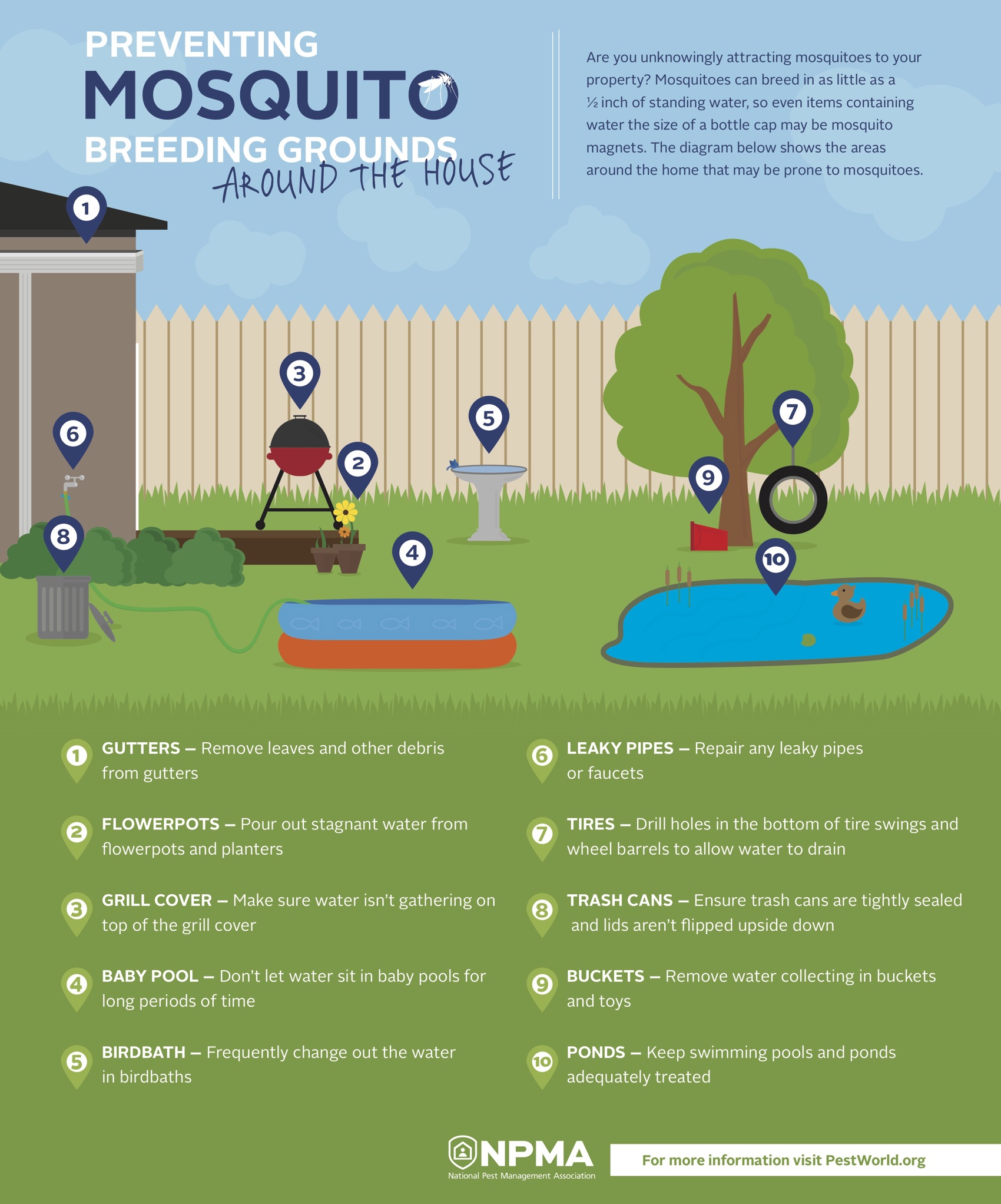 Mosquito Breeding Prevention: Mosquitoes Around House Mosquito Breeding Prevention: Mosquitoes Around House
