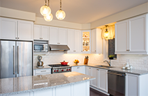 Common Kitchen Insects: How to Get Rid of Kitchen Bugs