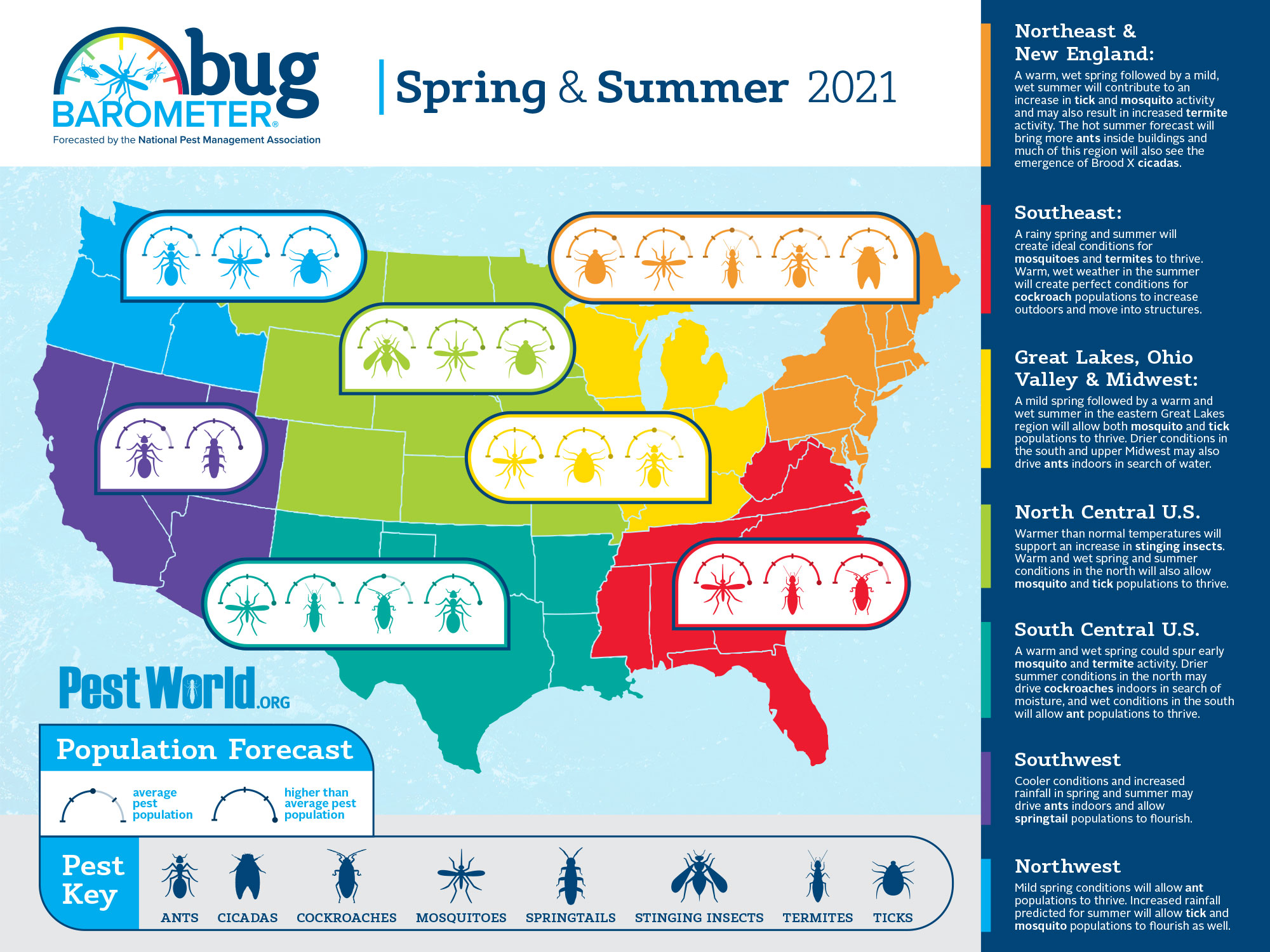 German Cockroaches: Photos & Control Information