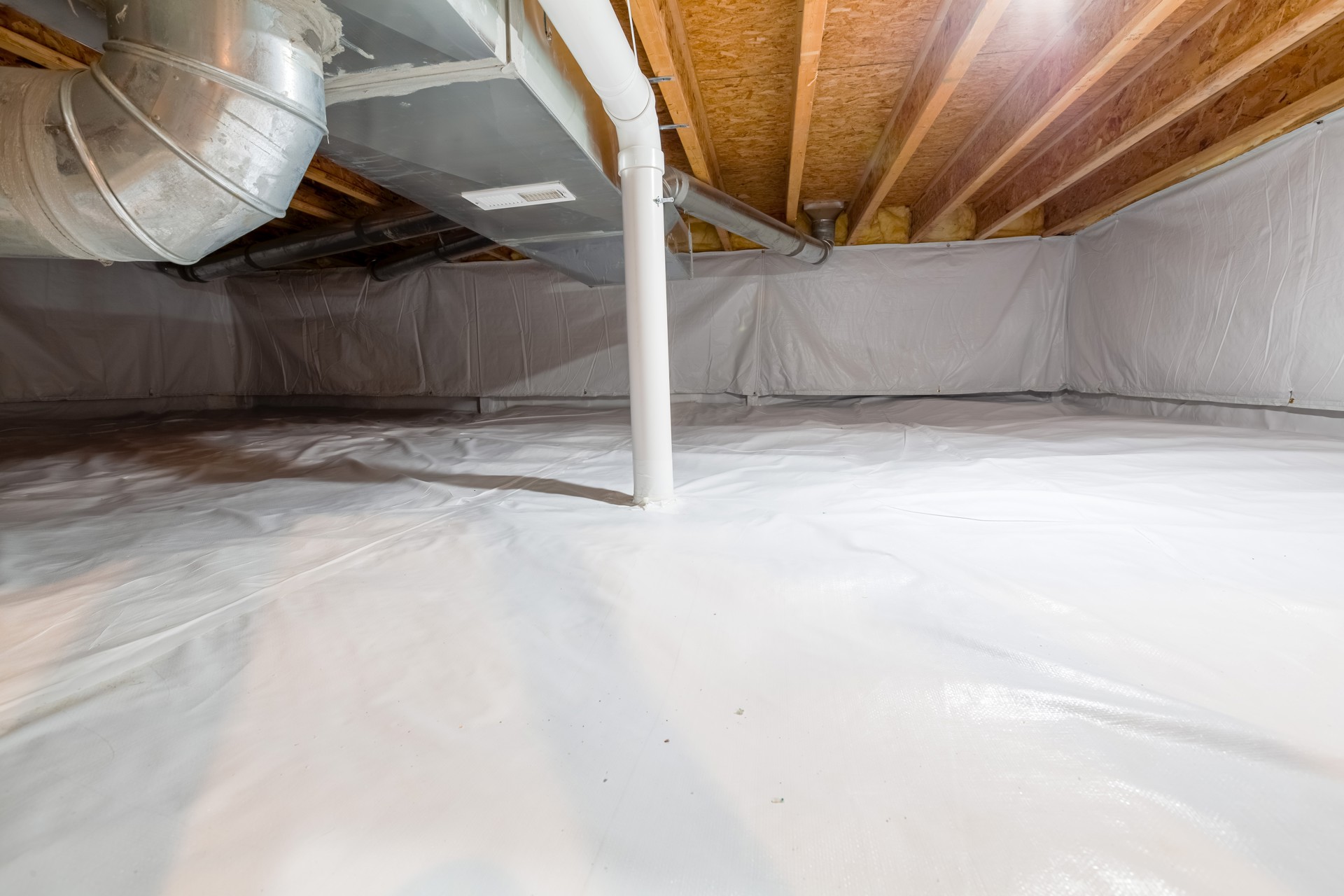 Bugs, Mice in Crawl Space: How to Prevent Pest in Crawl Space